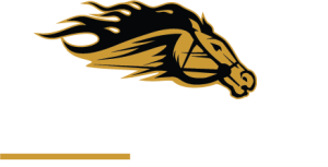 Gallop Guru | Horse Racing Tips