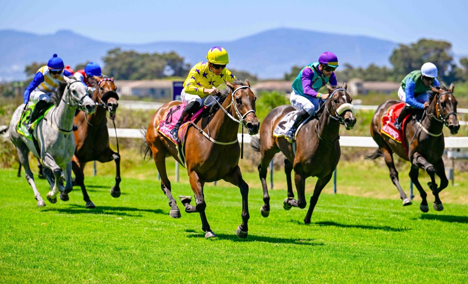 Hollywoodbets Kenilworth Tips: 13 May 2025 - Gallop Guru