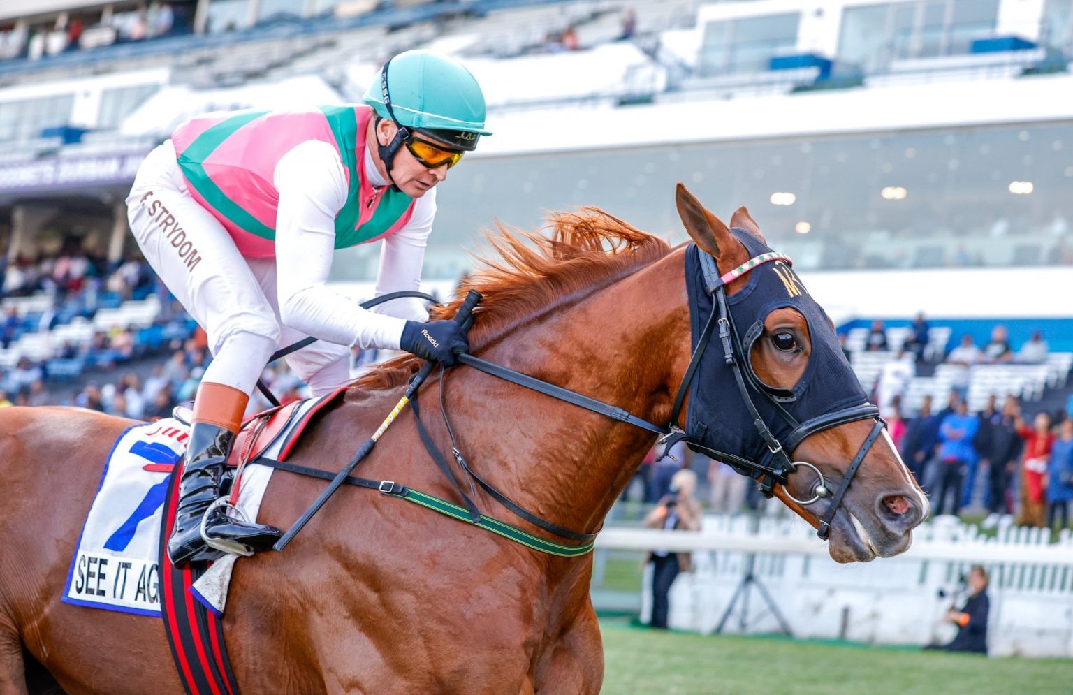 Hollywoodbets Greyville Horse Racing Tips | Gallop Guru