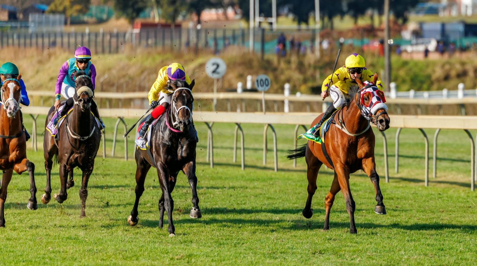 Gallop Guru | Horse Racing Tips
